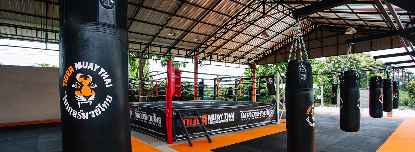 MuayThai Holiday packages to Tiger MuayThai and MMA Training Camp ...